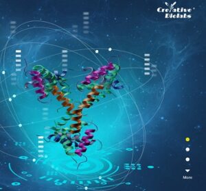 Creative Biolabs | 卓昇有限公司-最專業科學研究供應商