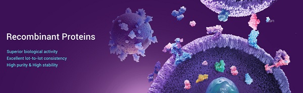 MCE (MedChem Express) | 卓昇有限公司-最專業科學研究供應商