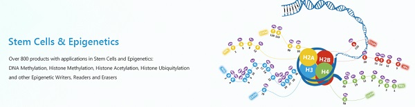 MCE (MedChem Express) | 卓昇有限公司-最專業科學研究供應商