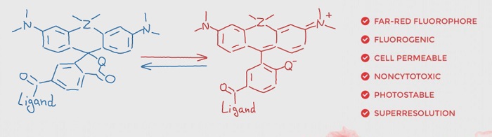 SPIROCHROME | 卓昇有限公司-最專業科學研究供應商
