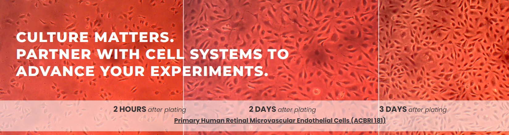 Cell Systems | 卓昇有限公司-最專業科學研究供應商
